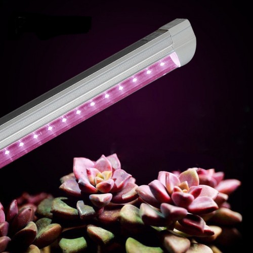 FDGH T8 Integrated Tube Series IP21 G2(2nd Generation)