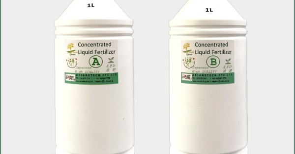 A&B Solution: concentrated Liquid Fertilizer Japanese High Quality