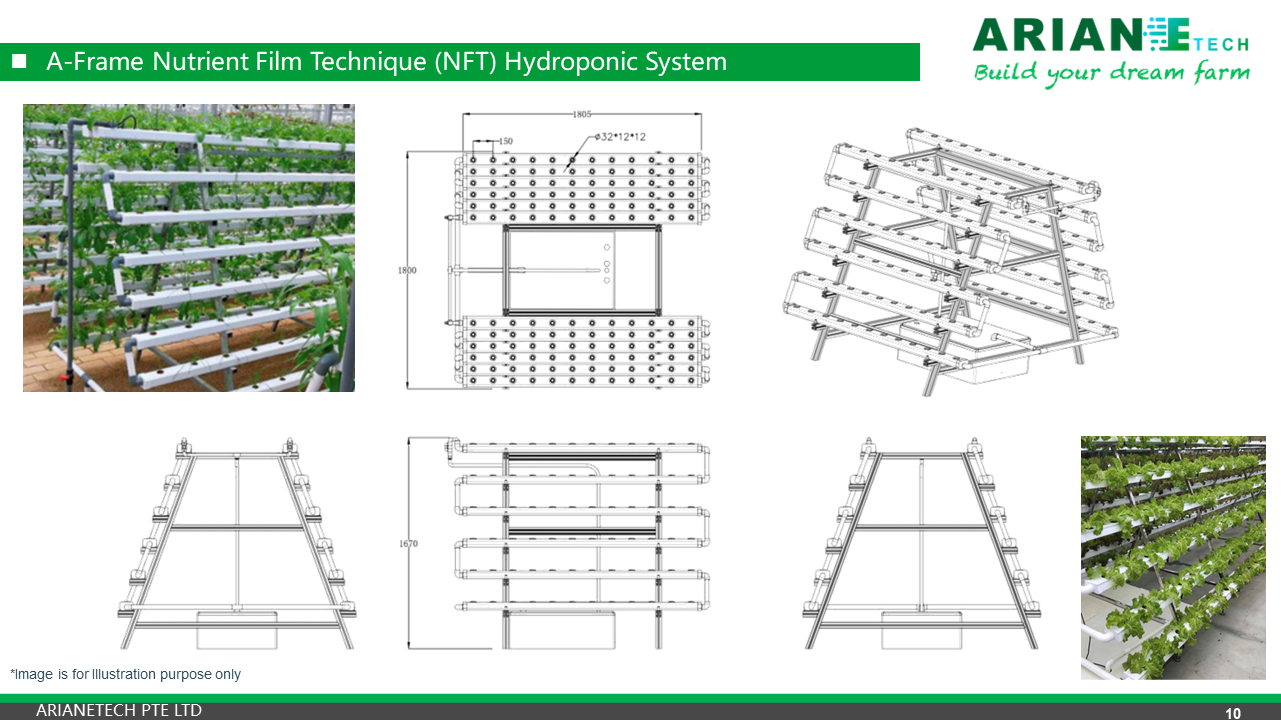 A-Frame Nutrient Film Technique (NFT) Hydroponic System