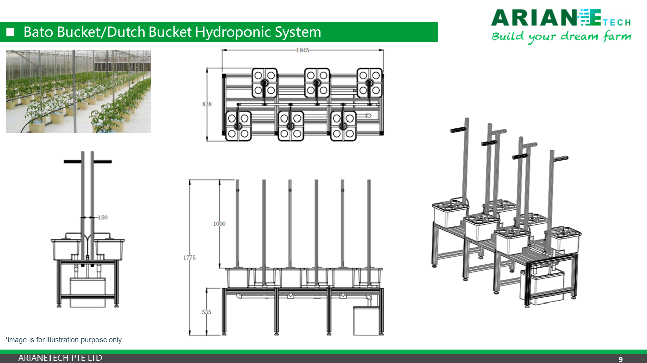 Dutch Bucket Hydroponic System