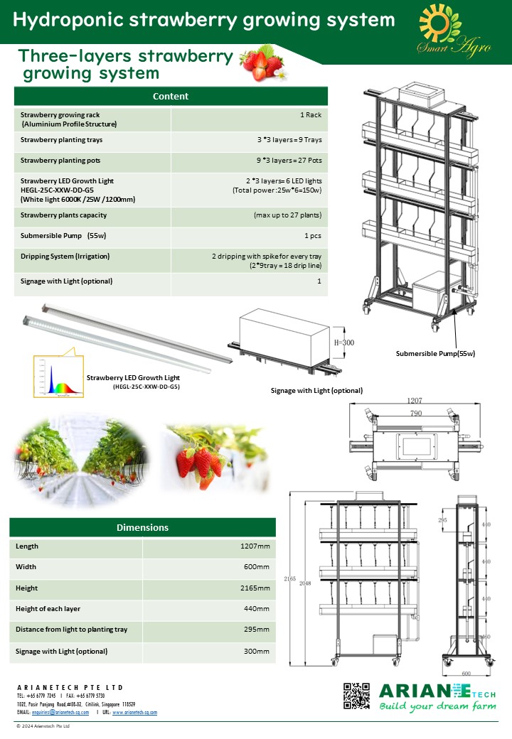 Hydroponic strawberry growing system